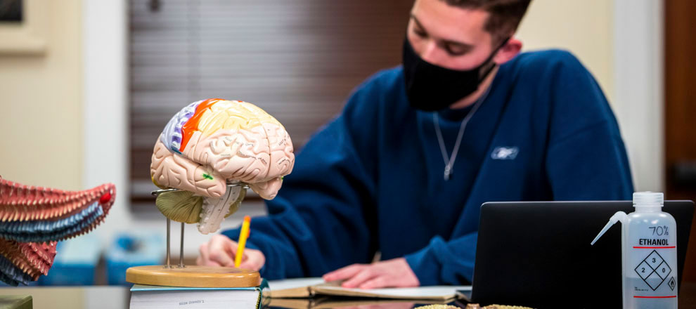 Neuroscience Program - Neuroscience Program - Christopher Newport ...