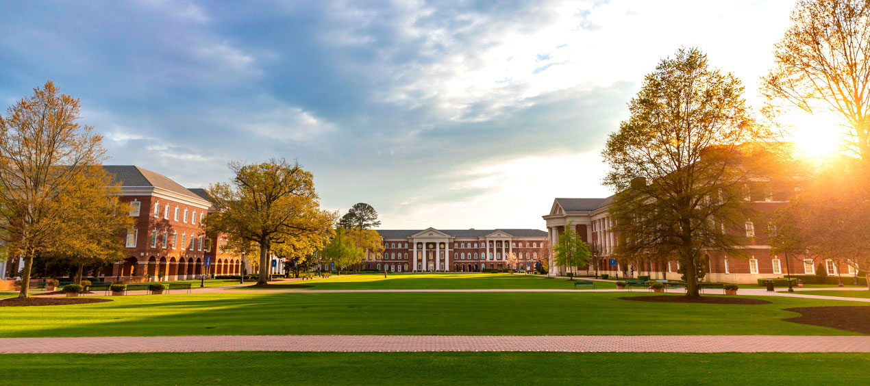 Freshman - Freshman - Christopher Newport University
